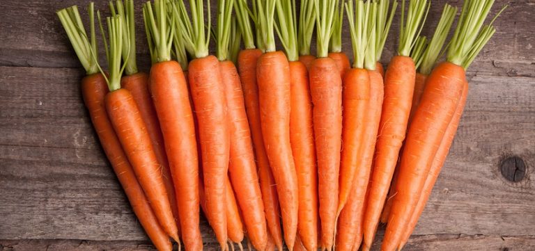 5 bonnes raisons de manger des carottes